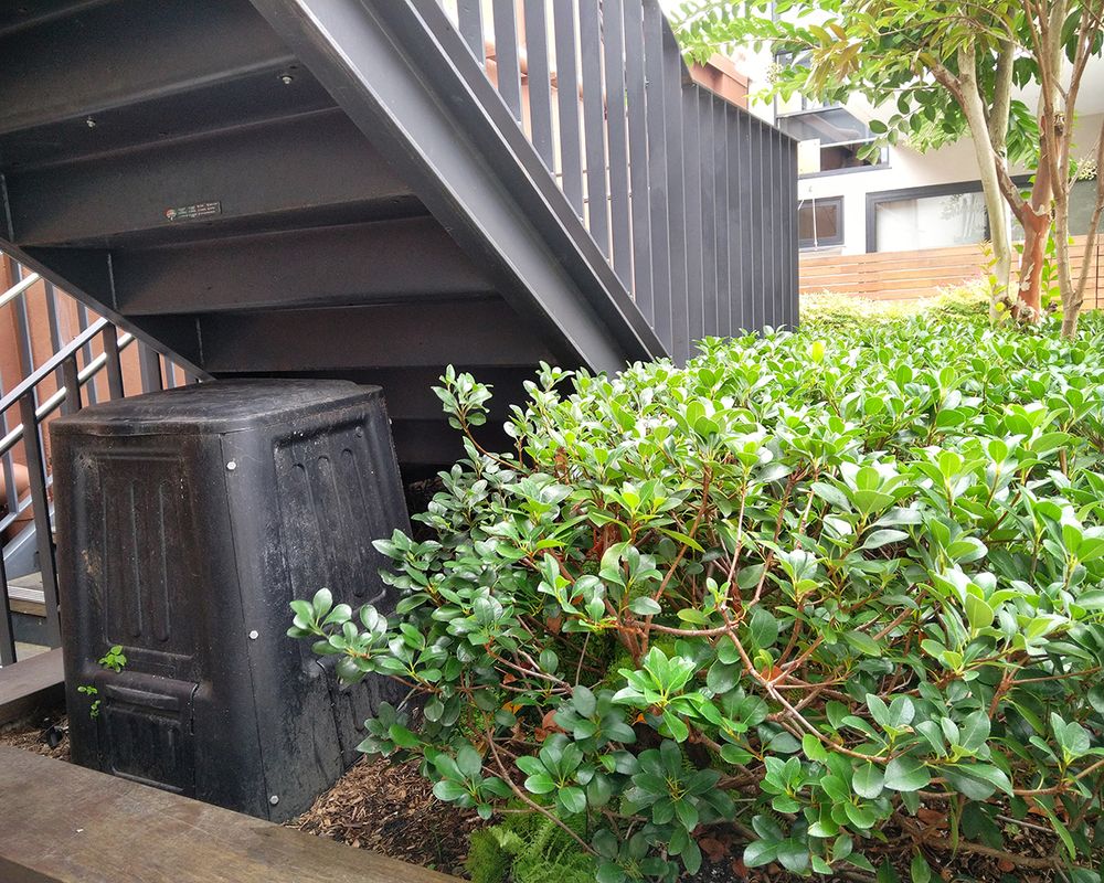 The top 5 rules to reduce landfill (and become a healthier, happier you)!